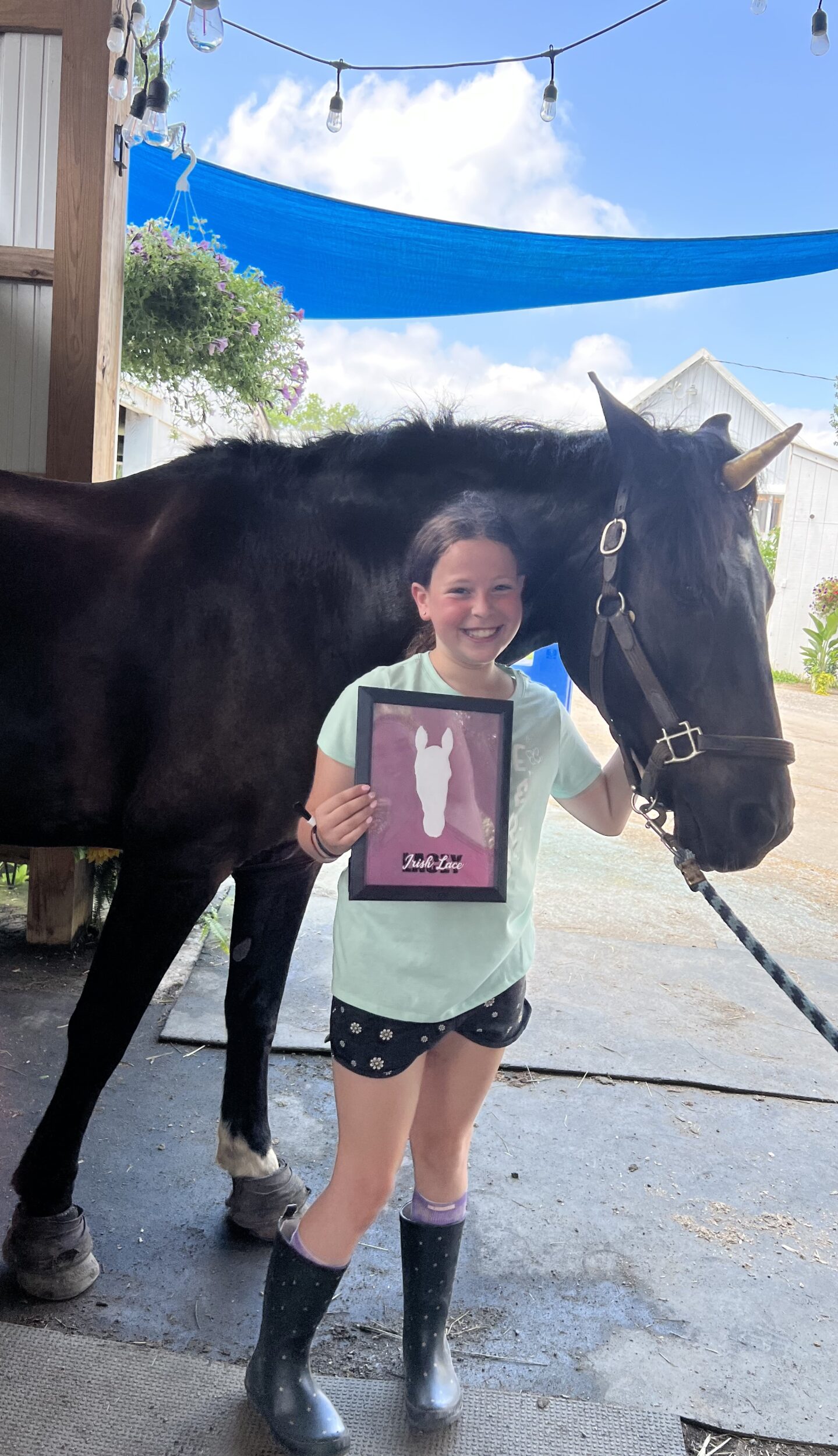 Bullseye Boy "Angus" – Full Moon Farm